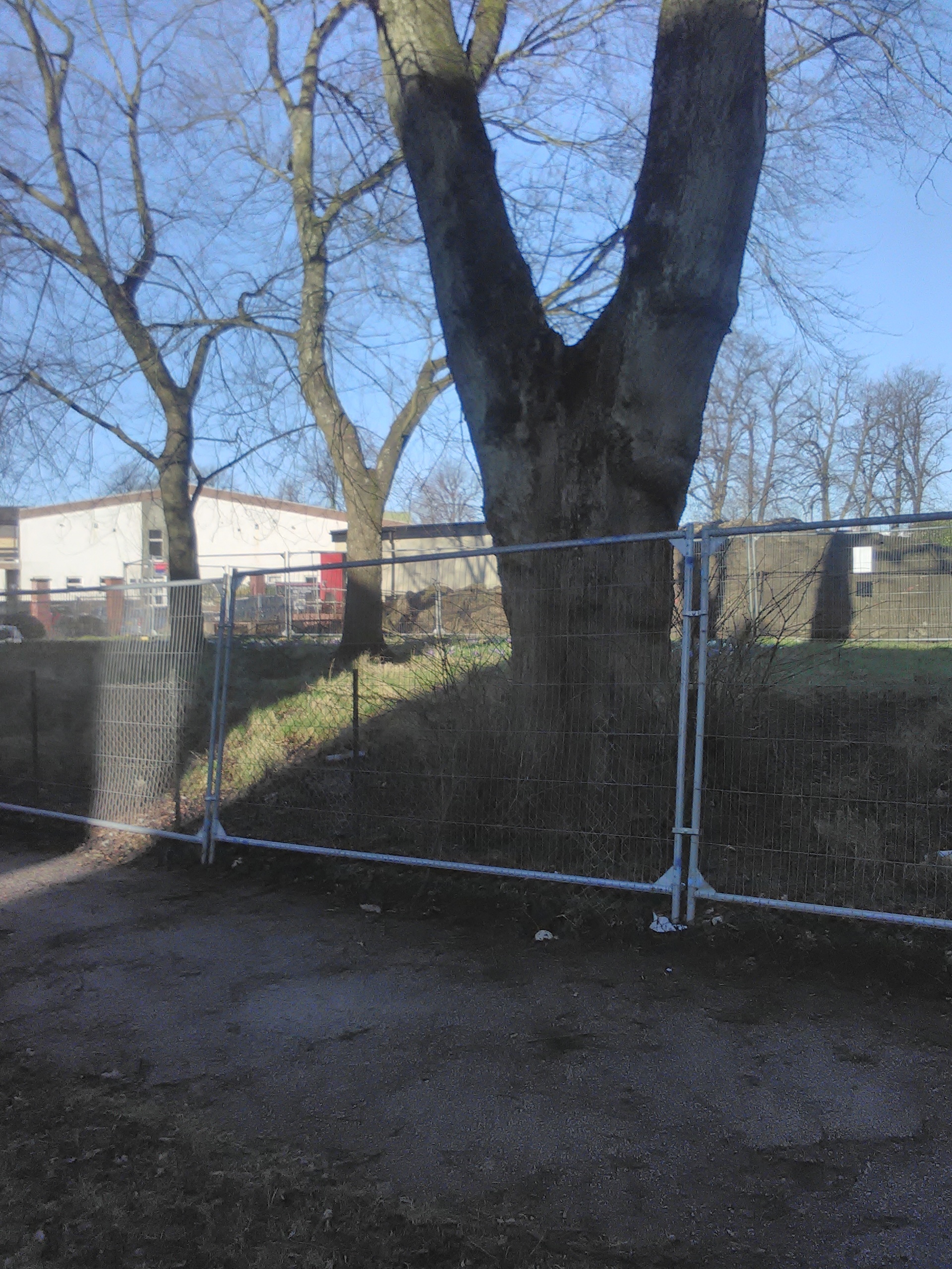 Sally Anne Garland Speaks About Neurodiversity Week 2021 | Caroline Wakeman